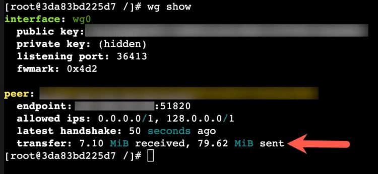 Using Wireguard with your Synology Docker Containers