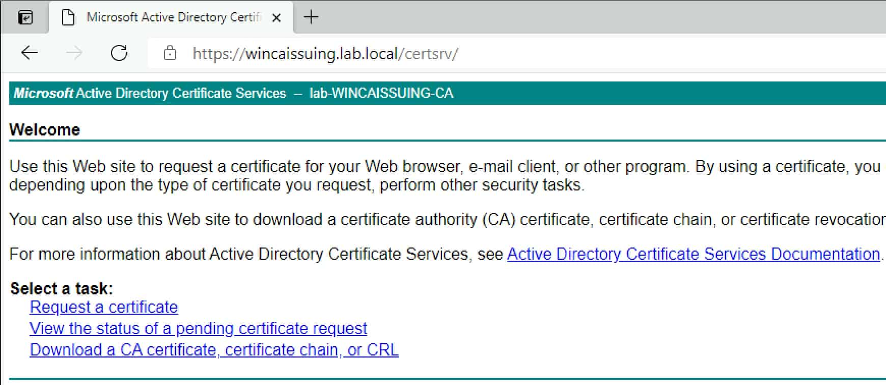 Windows Server 2019 Two-Tier PKI CA Pt. 3 - Derek Seaman's Tech Blog