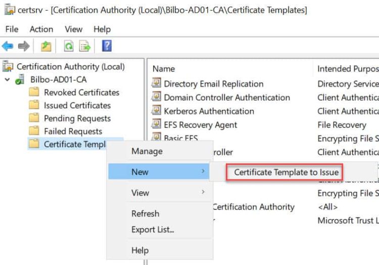 Trusted Remote Desktop Services SSL Certs for Win10/2019 - Derek Seaman ...